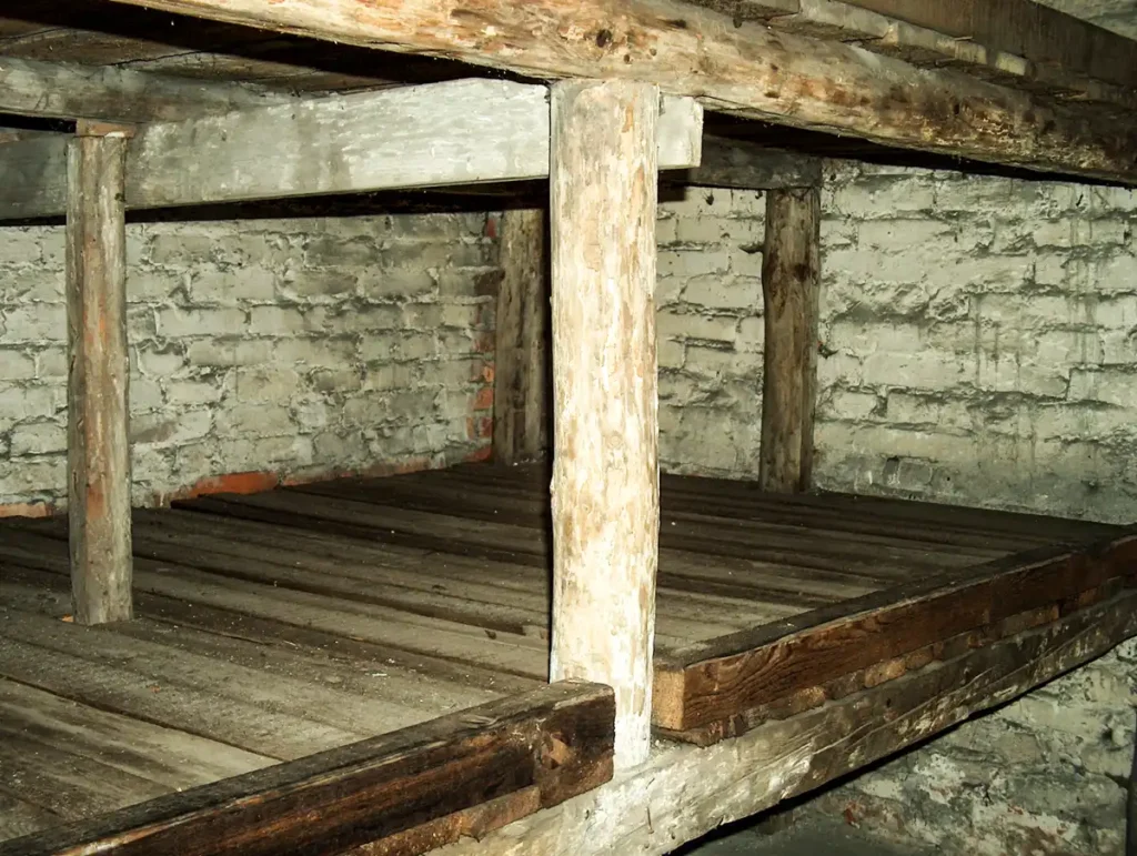 Auschwitz II–Birkenau: Niemiecki Obóz Zagłady