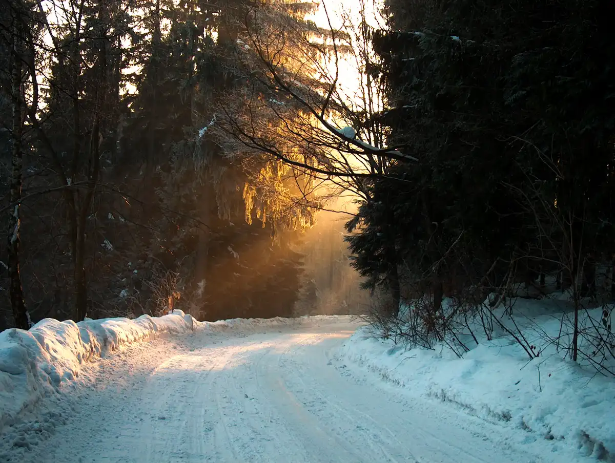 Ustroń - Jaszowiec: Perła Doliny Jaszowca i Równicy